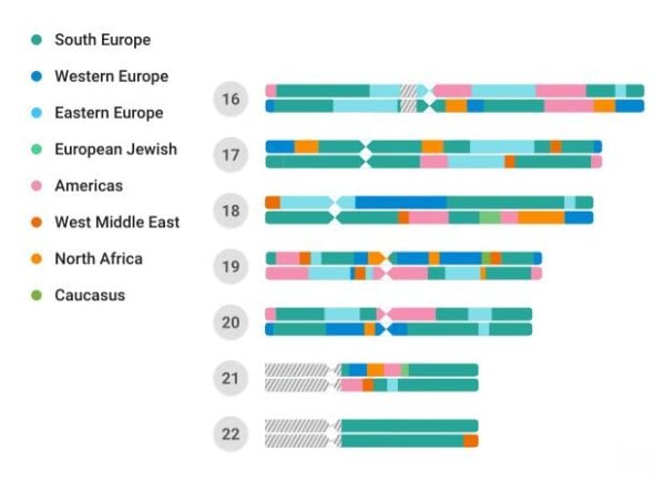 Autosomal DNA Test Results: Using Ethnicity Estimates to Generate ...