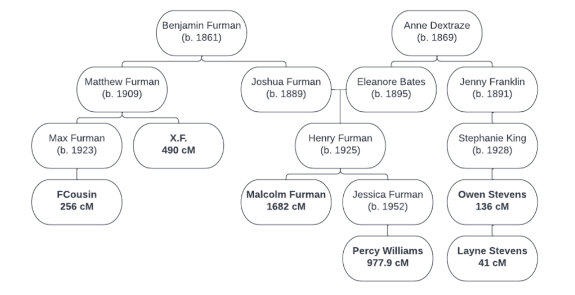 How To Create Diagrams and Charts for Genetic Genealogy Research ...