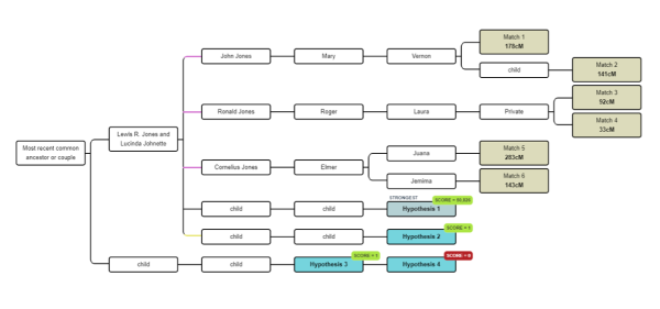 How To Create Diagrams and Charts for Genetic Genealogy Research ...