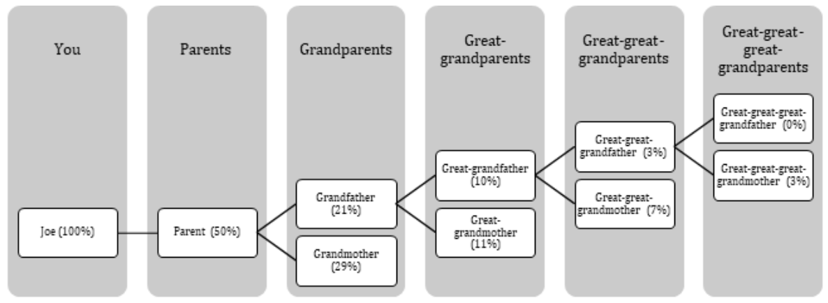Your Genealogical Family Tree Versus Your Genetic Family Tree ...