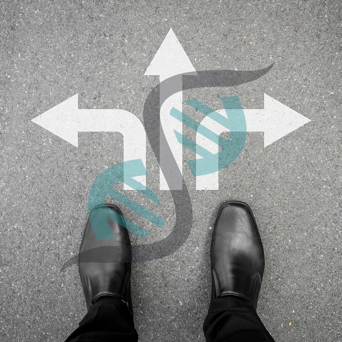 Where to Test? Genetic Genealogy Testing Options - Legacy Tree