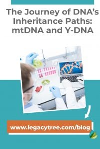 DNA Inheritance Patterns: mtDNA and Y-DNA | Legacy Tree Genealogists